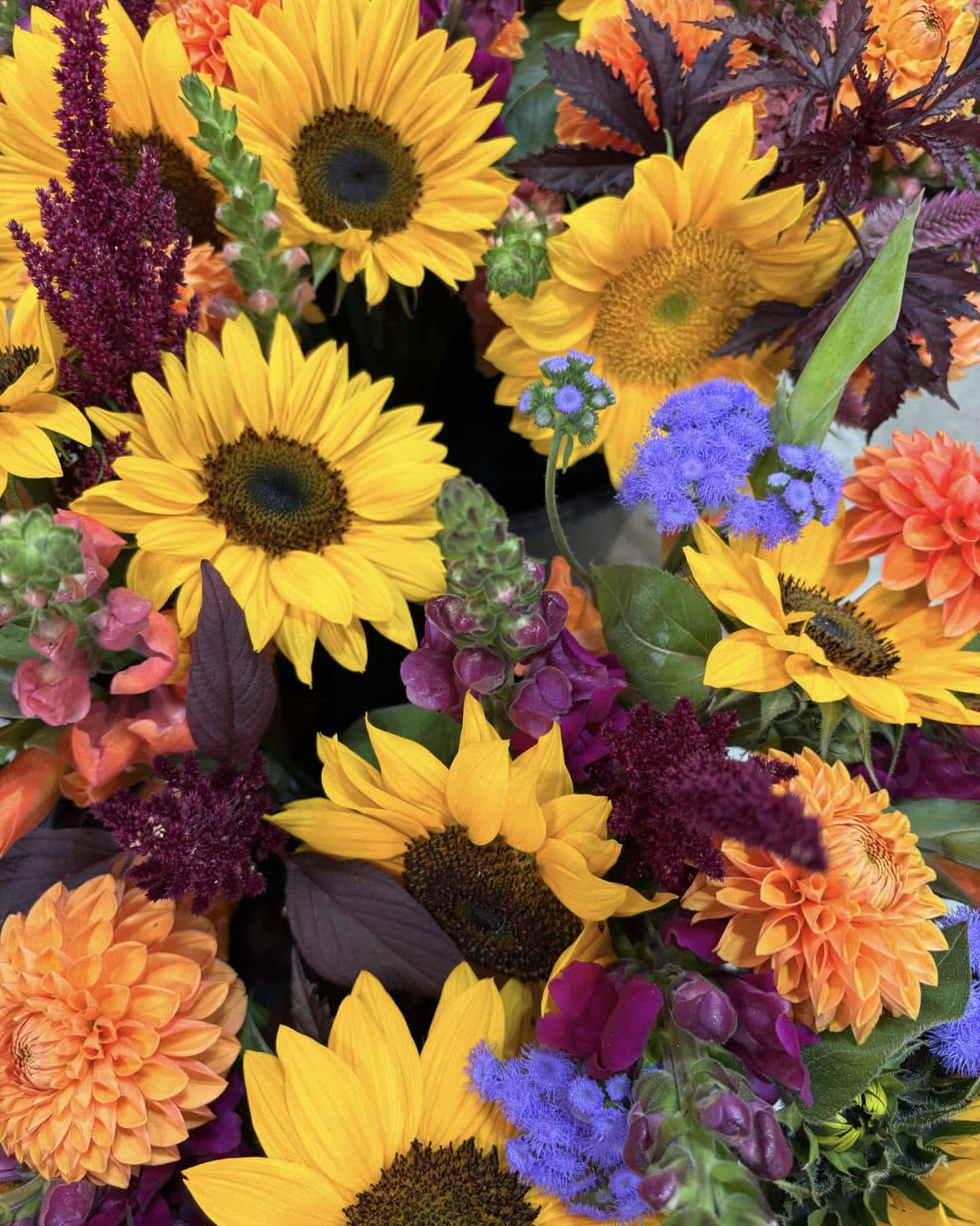 Rogish Farm | Destination Geauga